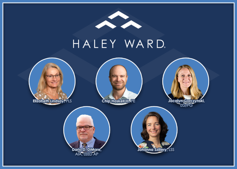 Haley Ward Announces Five New Vice Presidents