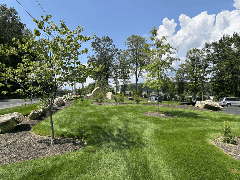 LANDSCAPE ARCHITECTURE | Haley Ward
