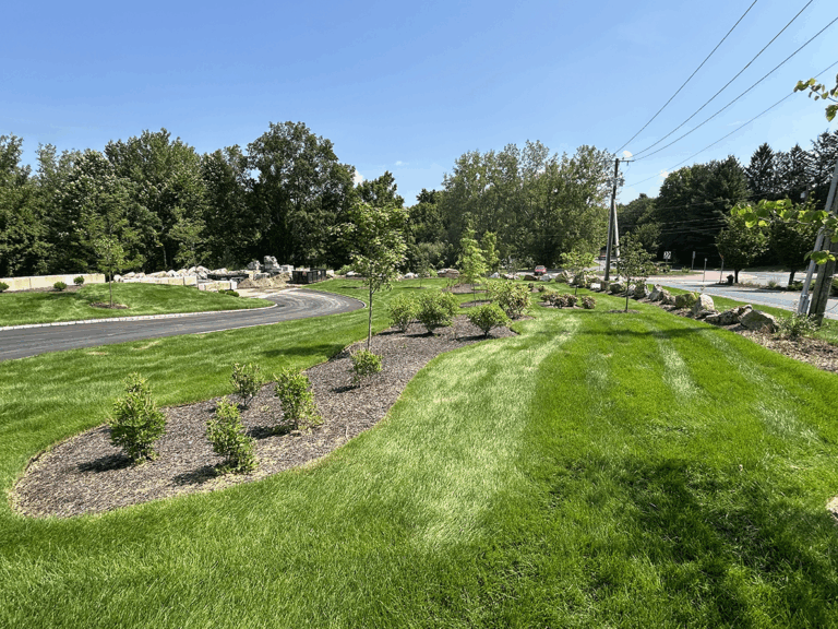 LANDSCAPE ARCHITECTURE | Haley Ward