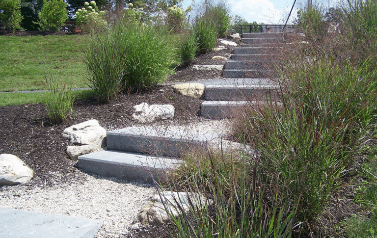 LANDSCAPE ARCHITECTURE | Haley Ward